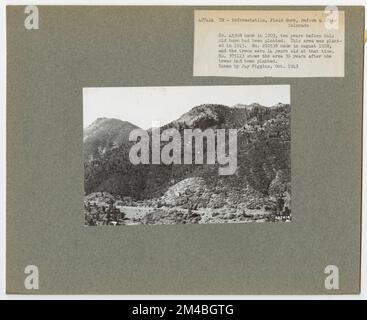 Reforestation: Camera Point - Colorado. Photographs Relating to ...