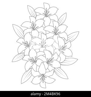 Stargazer Lily Coloring Pages