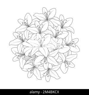 lily flower and lilium flower coloring page outline decorative line art ...