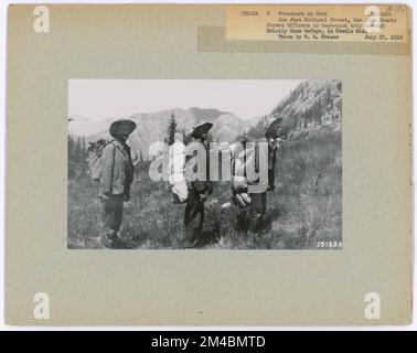 Foresters at Work - Colorado. Photographs Relating to National Forests ...