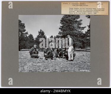 Foresters at Work - Colorado. Photographs Relating to National Forests ...