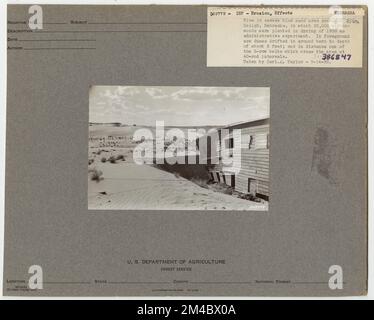 Erosion Effects - Nebraska. Photographs Relating to National Forests ...