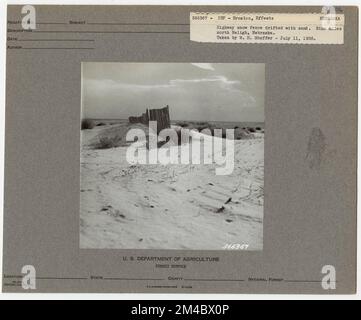 Erosion Effects - Nebraska. Photographs Relating to National Forests ...