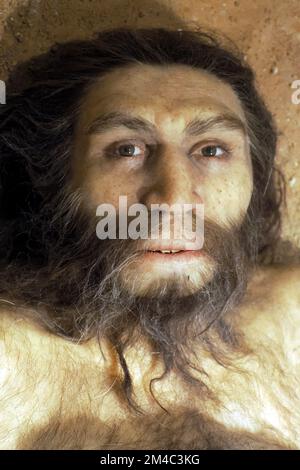 Neanderthal prehistoric man lucy style evolution display detail Stock ...