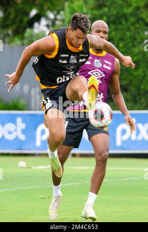 Santos, Brazil. 20th Dec, 2022. SP - Santos - 12/20/2022 - SANTOS ...