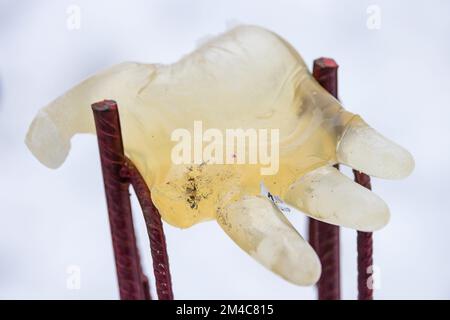 Cottbus, Germany. 14th Dec, 2022. A class F4 firecracker (large ...