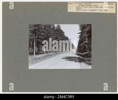 Roads - Minnesota. Photographs Relating to National Forests, Resource ...