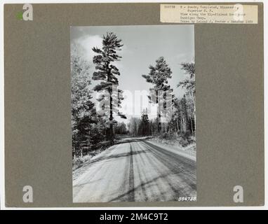 Roads - Minnesota. Photographs Relating to National Forests, Resource ...