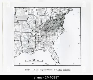Maps and Charts - All States. Photographs Relating to National Forests ...
