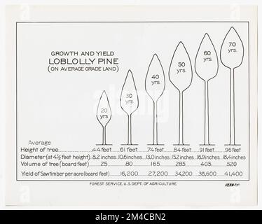 Maps and Charts - All States. Photographs Relating to National Forests ...