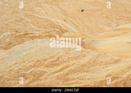 Jellybelly' mud, sand patterns formed as the ground thaws in early ...