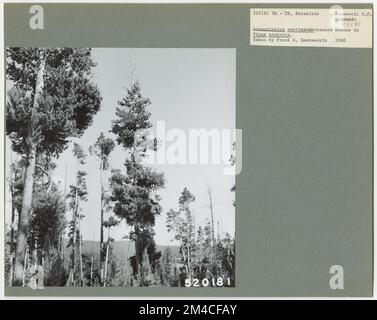 Parasites - All States. Photographs Relating to National Forests ...