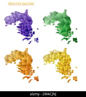 Set of vector maps of Bintan Island. Vibrant waves design. Bright map ...