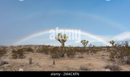 Rare double rainbows over Joshua Tree National Park as a storm passes ...