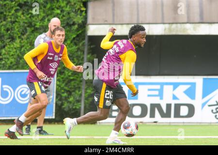Santos, Brazil. 20th Dec, 2022. SP - Santos - 12/20/2022 - SANTOS ...