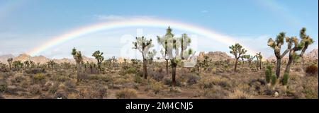A rare rainbow over Joshua Tree National Park as a storm passes through ...