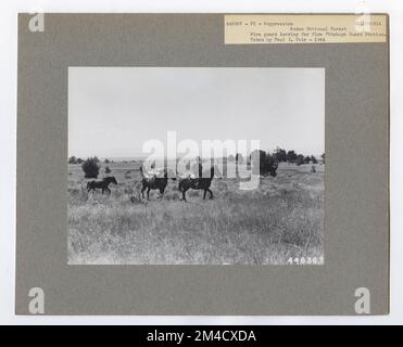 Transportation to Fires - California. Photographs Relating to National ...