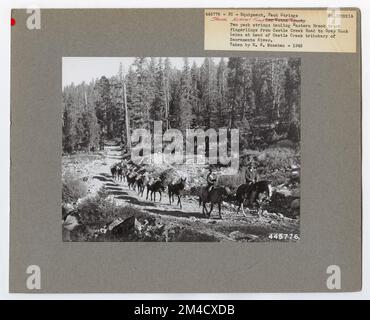 Transportation to Fires - California. Photographs Relating to National ...