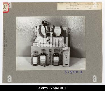 Forest Fire Camps - Washington. Photographs Relating to National ...