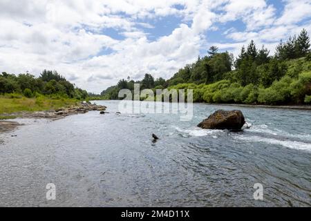 River Tolten in Araucania, Chile Stock Photo - Alamy