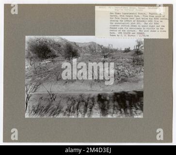 Burned -Over Areas - Camera Point - California. Photographs Relating to ...