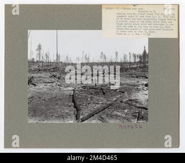 Burned -Over Areas - Minnesota. Photographs Relating to National ...