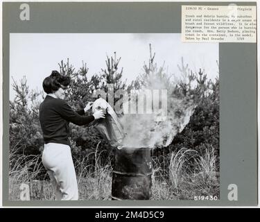 Forest Fires: Causes - Virginia. Photographs Relating to National ...
