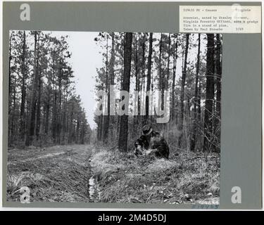 Forest Fires: Causes - Virginia. Photographs Relating to National ...