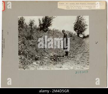 Forest Fires: Causes - Virginia. Photographs Relating to National ...