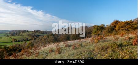 Panoramic photo of the Admiral Hood Monument on the Polden Way footpath ...