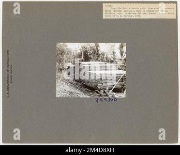 Seasoning and Shipping Lumber - Puerto Rico. Photographs Relating to ...