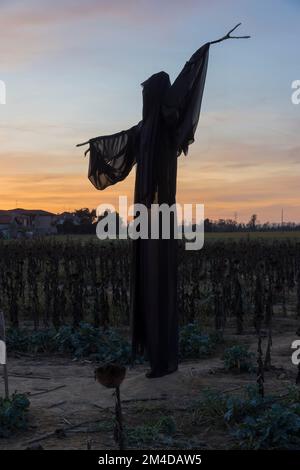 Ghost on a field during sunset, no people are visible Stock Photo - Alamy