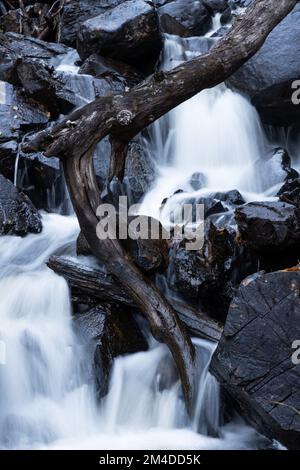 Water flowing in Saaripuron waterfall in the middle of lush taiga ...