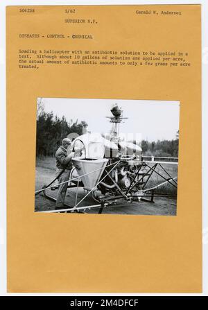 Forest Diseases - General. Photographs Relating to National Forests ...