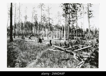 Miscellaneous Wood Products - Ties. Photographs Relating to National ...