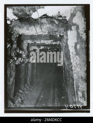 Miscellaneous Wood Products - Mine Props/ Stulls. Photographs Relating ...