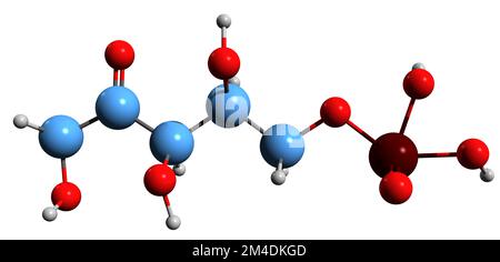 3D image of Ribulose skeletal formula - molecular chemical structure of ...