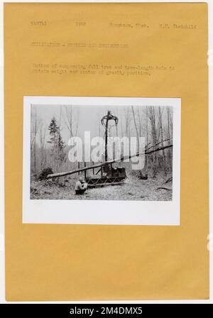 Wood Utilization. Photographs Relating to National Forests, Resource ...