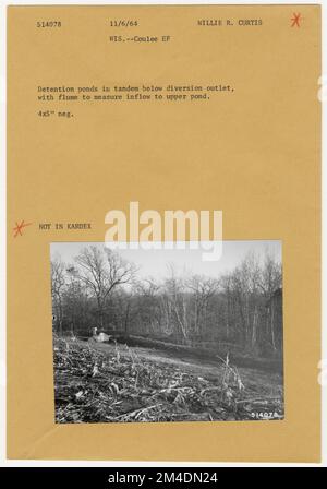 Wood Utilization. Photographs Relating to National Forests, Resource ...