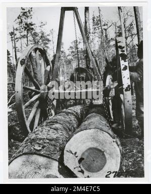 Partial Cutting - Selection Cutting. Photographs Relating to National ...