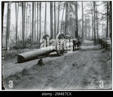 Partial Cutting - Selection Cutting. Photographs Relating to National ...