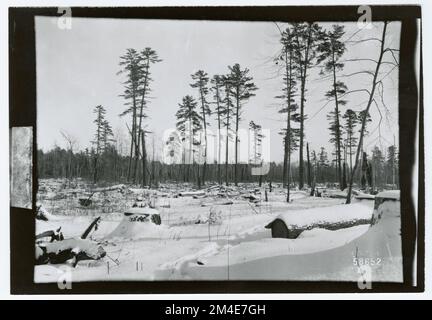 Partial Cutting - Seed Tree Cutting. Photographs Relating to National ...