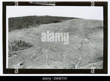 Partial Cutting - Seed Tree Cutting. Photographs Relating to National ...