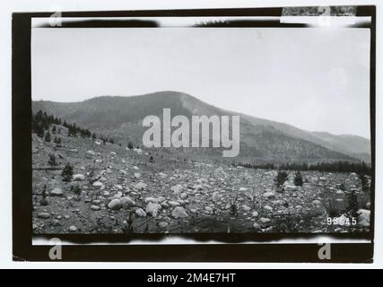 Partial Cutting - Sanitation Cutting. Photographs Relating to National ...
