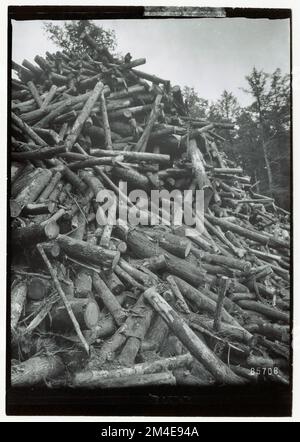Log Transportation: Log Drives. Photographs Relating to National ...