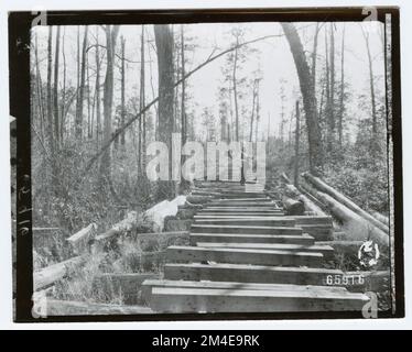 Log Transportation: Logging Railroad. Photographs Relating to National ...