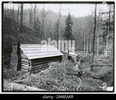 Logging: Camps & Crews: Exterior. Photographs Relating to National ...