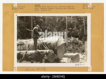 Foresters At Work: Outdoors. Photographs Relating to National Forests ...