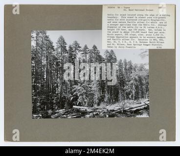 Timber Management: Types - Oregon. Photographs Relating to National ...