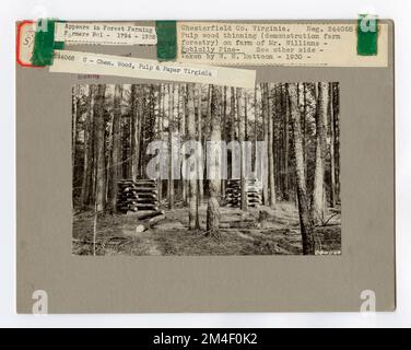 Pulp and Paper Woods - Virginia. Photographs Relating to National ...